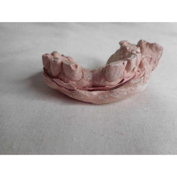 Vintage | Accents | Vintage Cast Dental Teeth Mold Tooth Castings ...